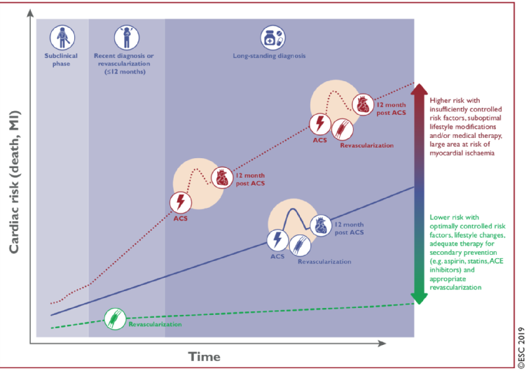 Commentary on the new ESC Guidelines on Chronic Coronary Syndromes